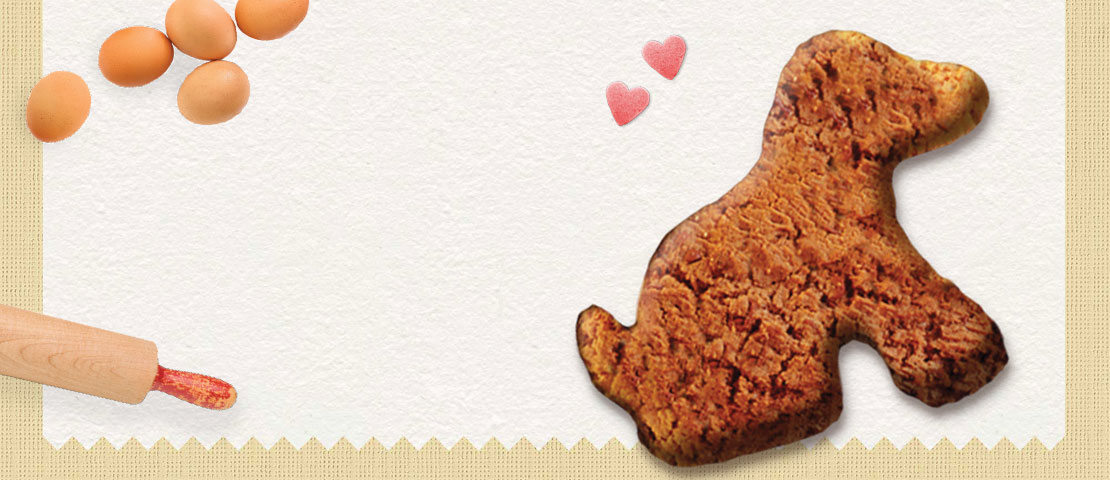 quick-ginger-biscuits-bikkie-day-recipes-blind-foundation